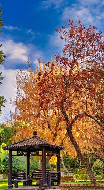 Garden Park Tehran - Free photo on Pixabay