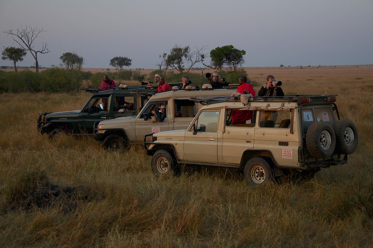 Safari Africa Tourism - Free photo on Pixabay