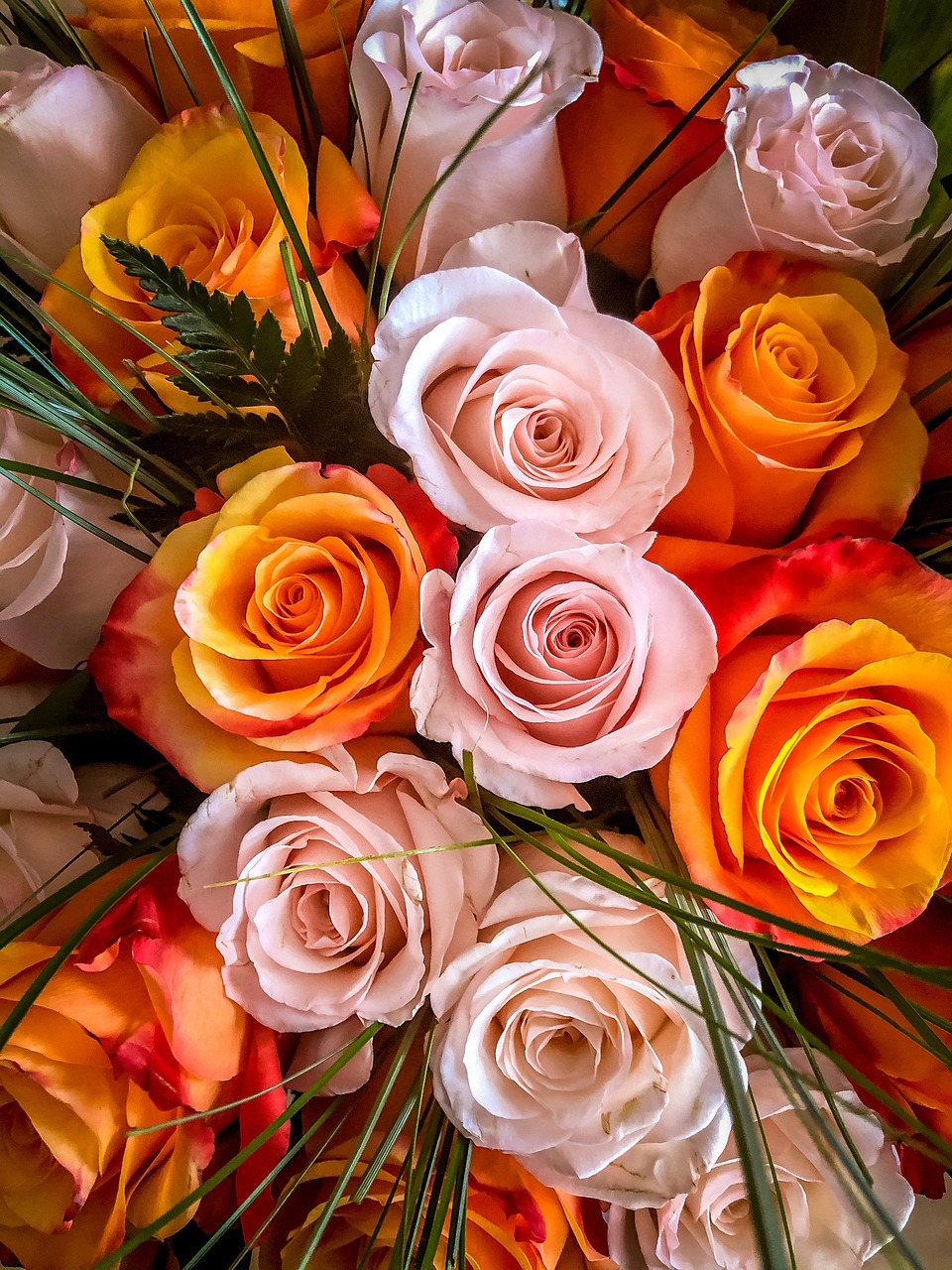 Roj Flower Mix White Red Rose - Free photo on Pixabay - Pixabay