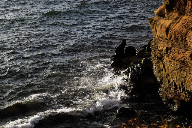 Ozean Meer Milchige Wellen - Kostenloses Foto auf Pixabay - Pixabay