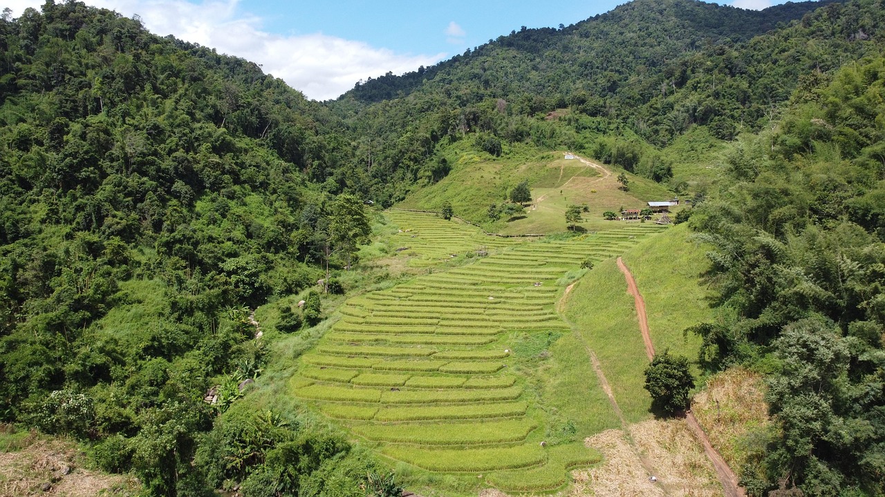 Sawah Terasering Chiang Rai - Foto gratis di Pixabay