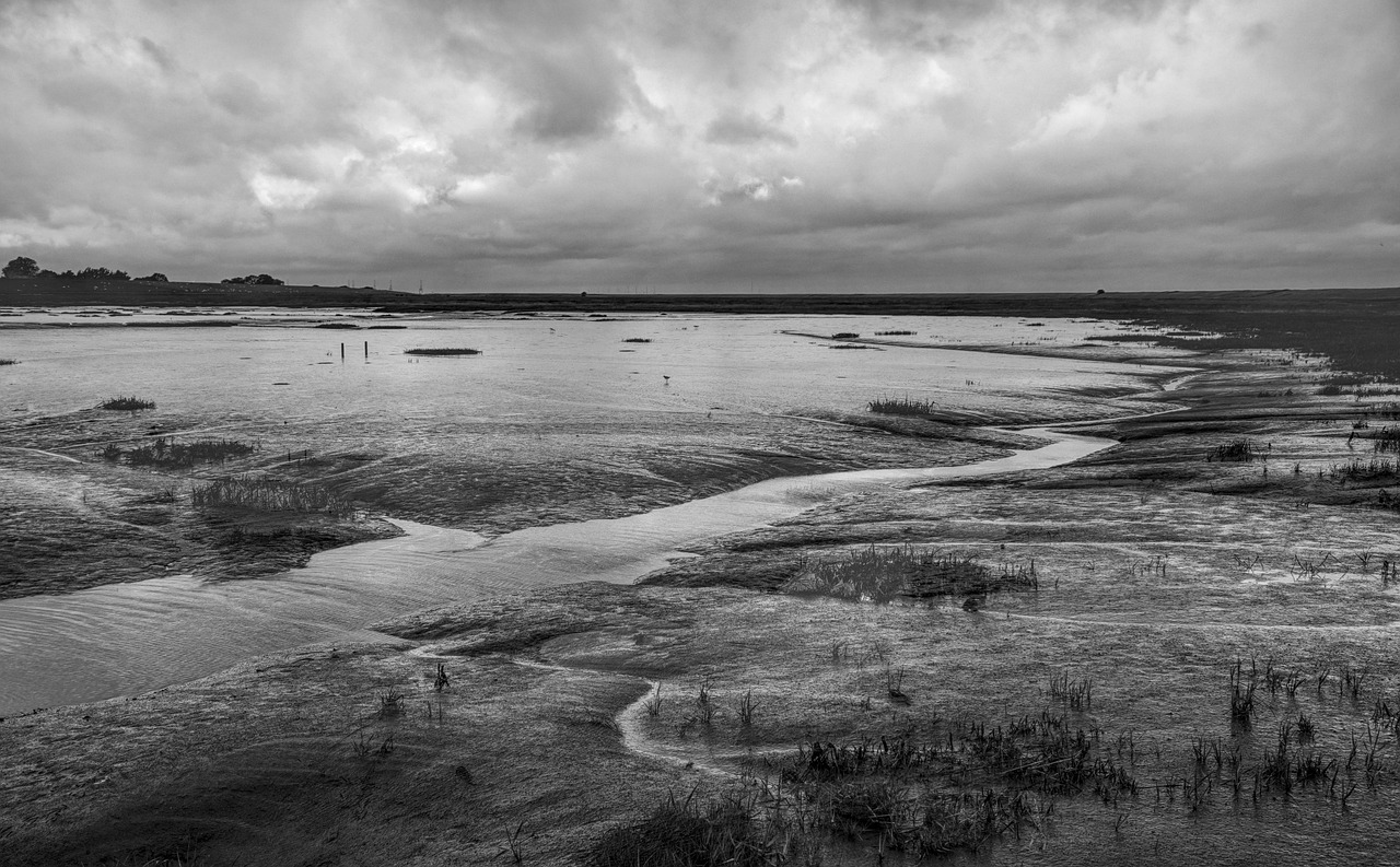 Mar Prado Salgado Reserva Natural - Foto gratuita no Pixabay - Pixabay