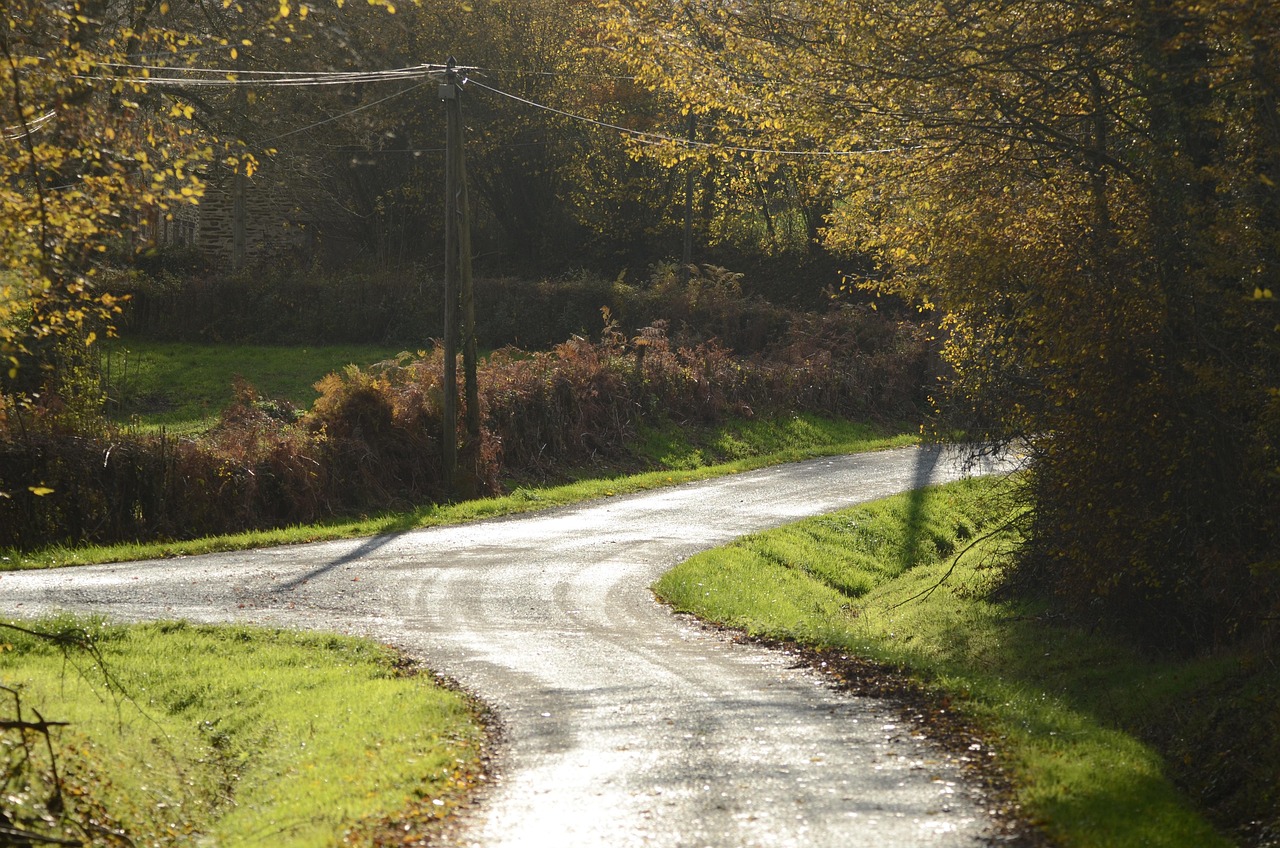 Nature Road Landscape - Free photo on Pixabay - Pixabay