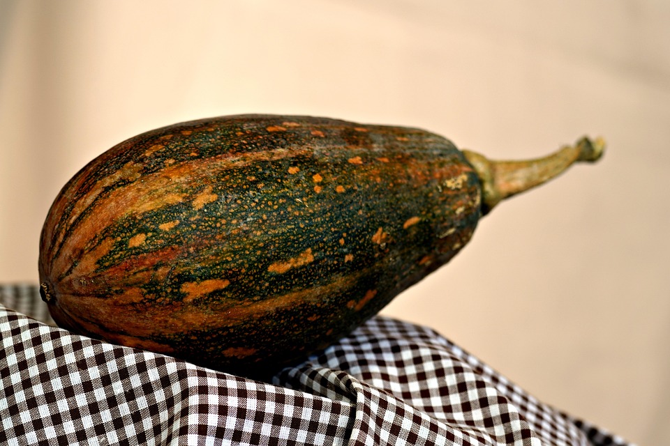 Kabocha Vegetable Food - Free photo on Pixabay - Pixabay