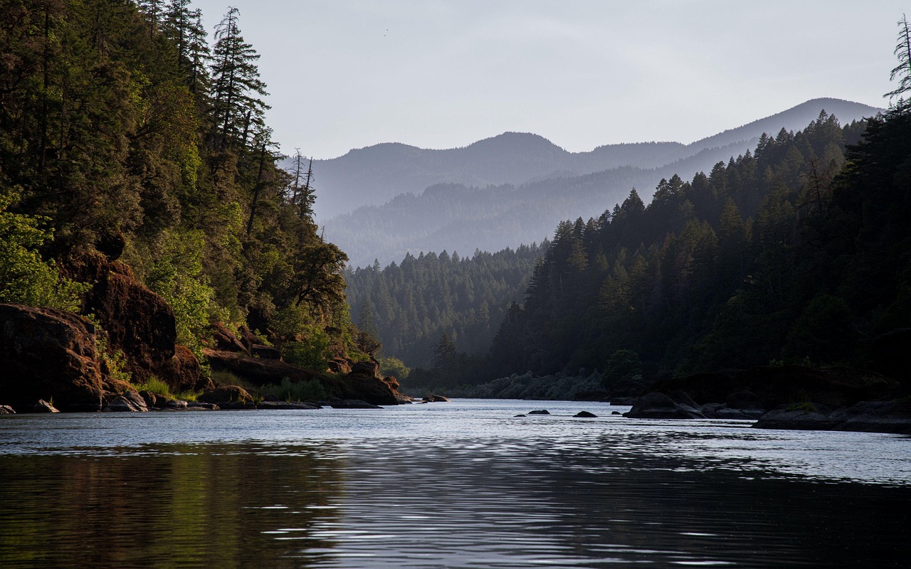 River Trees Mountains - Free photo on Pixabay - Pixabay