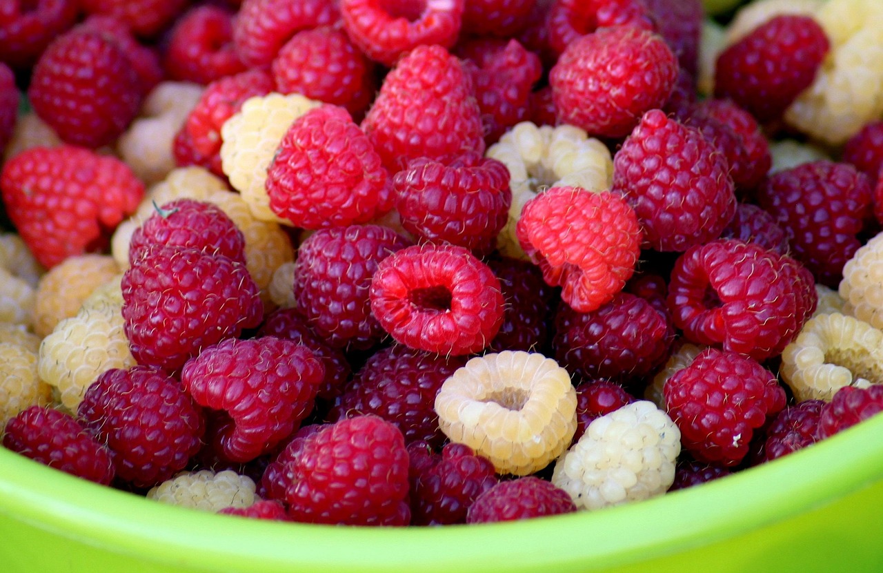 Raspberries Fruit Vitamins - Free photo on Pixabay
