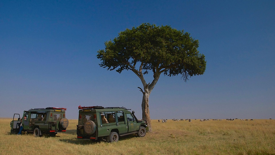 Safari Africa Tourism Wildlife - Free photo on Pixabay - Pixabay
