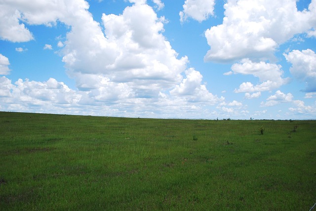 Sky Clouds Fair Weather - Free photo on Pixabay - Pixabay