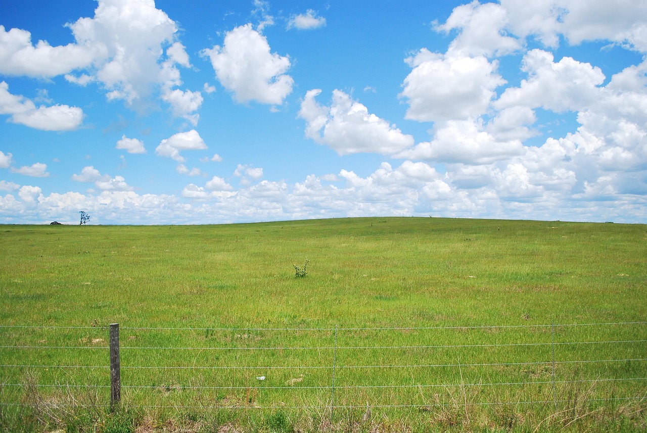 Sky Clouds Fair Weather - Free photo on Pixabay - Pixabay