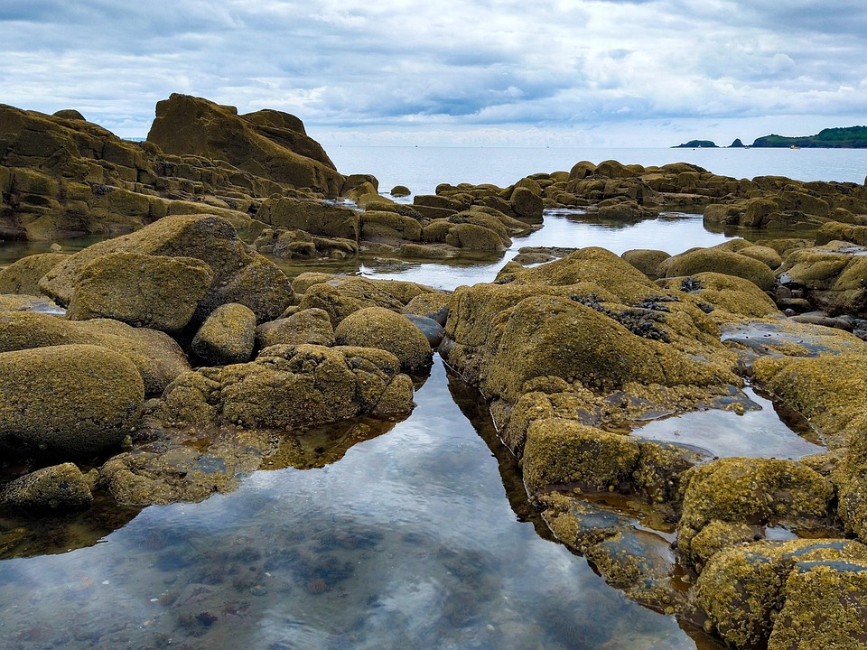 Sea Seascape Rockpool - Free photo on Pixabay - Pixabay