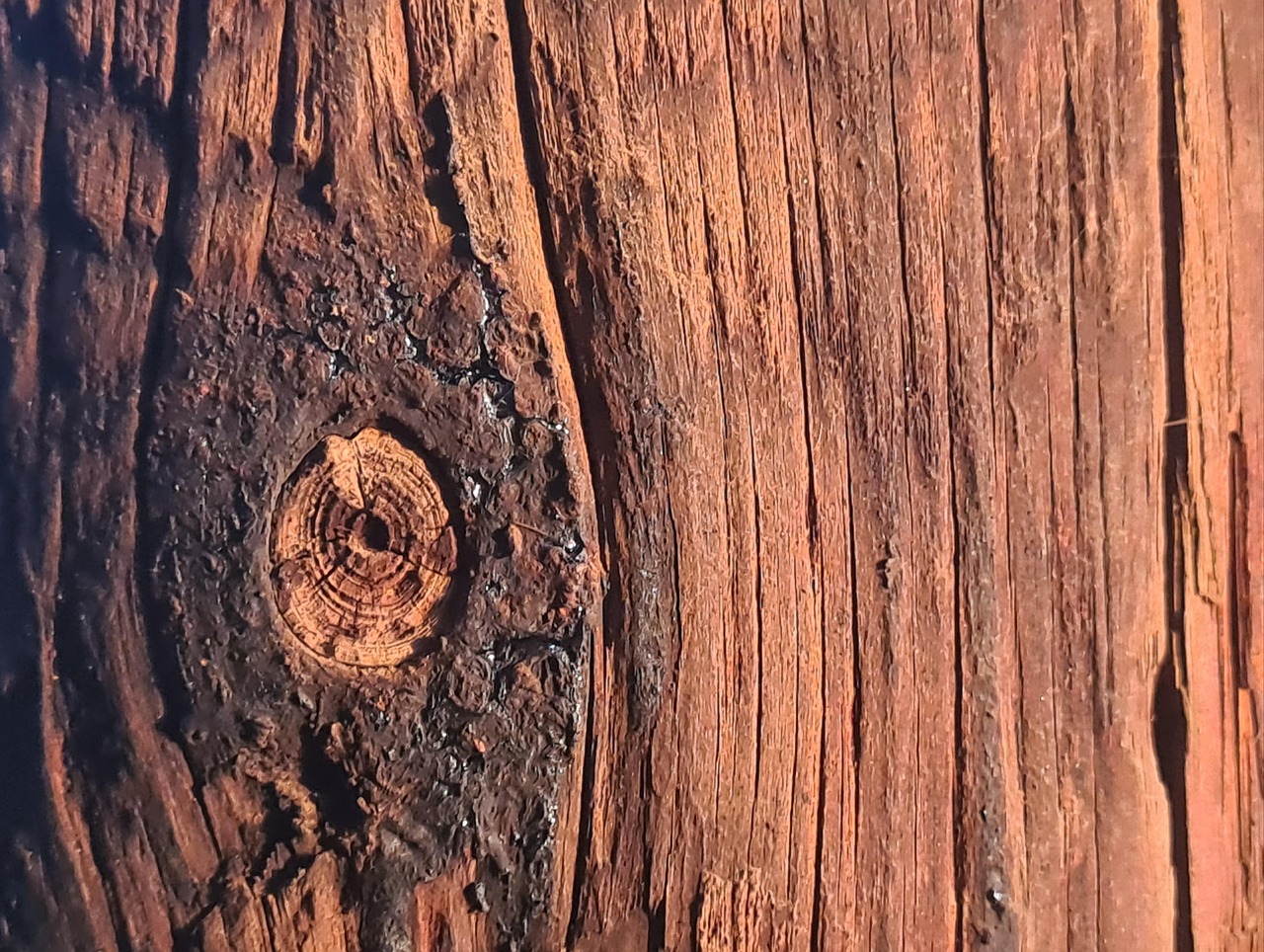 Madera Textura Material De - Foto gratis en Pixabay - Pixabay