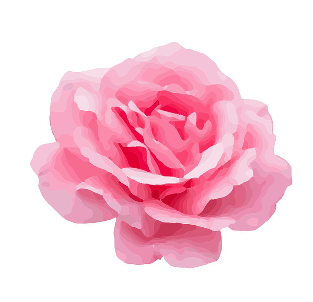 Download Rose, Pink Rose, Painting. Royalty-Free Vector Graphic - Pixabay