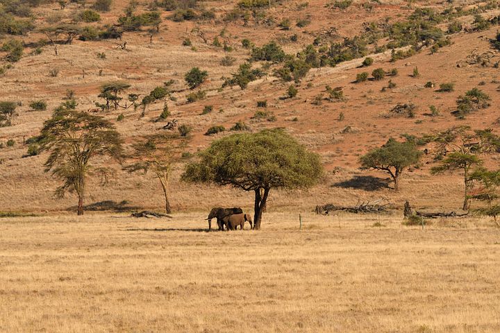 100+ Free African Landscape & Landscape Images - Pixabay