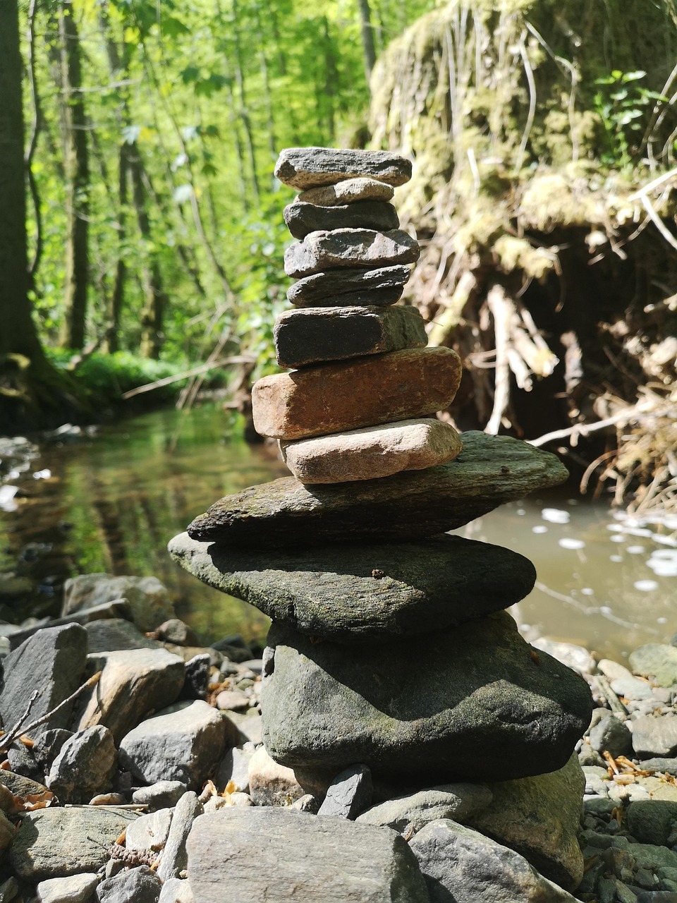 Steine Natur Wald - Kostenloses Foto auf Pixabay - Pixabay