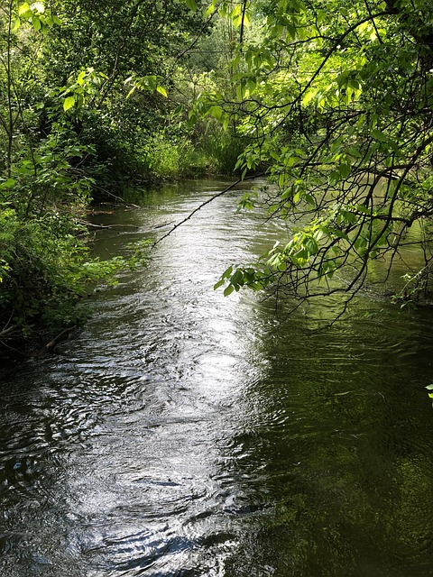 Fluss Draußen Wasser - Kostenloses Foto auf Pixabay - Pixabay
