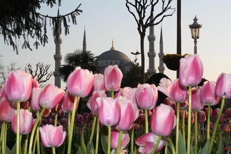 Stambul Santa Sofia - Photo gratuite sur Pixabay - Pixabay