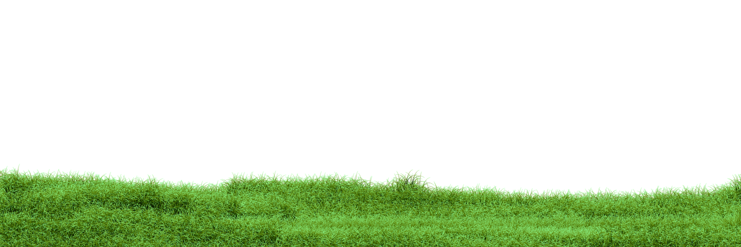 100+ Free Grass Transparent & Grass Photos - Pixabay