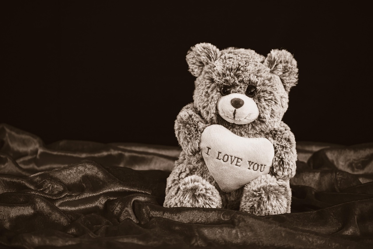 Teddy Love Romance - Free photo on Pixabay - Pixabay