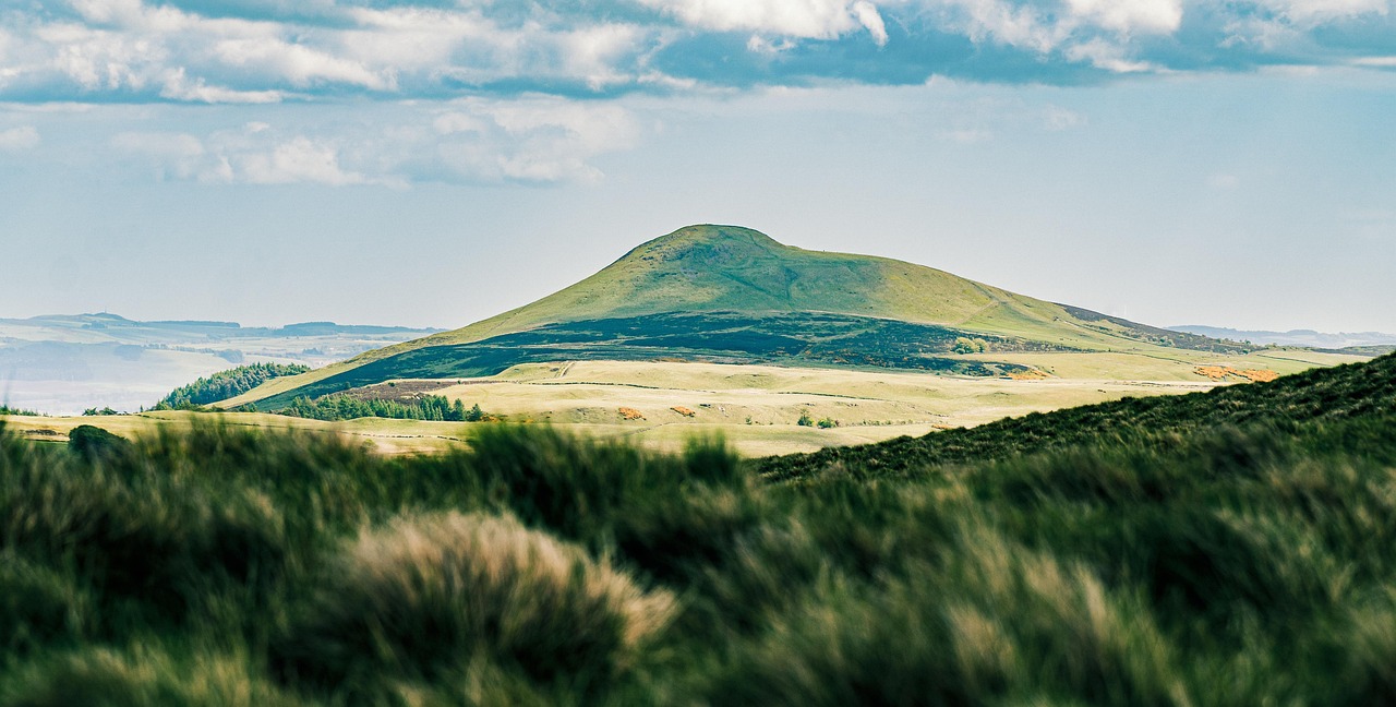 Scotland Grass Meadow - Free photo on Pixabay - Pixabay