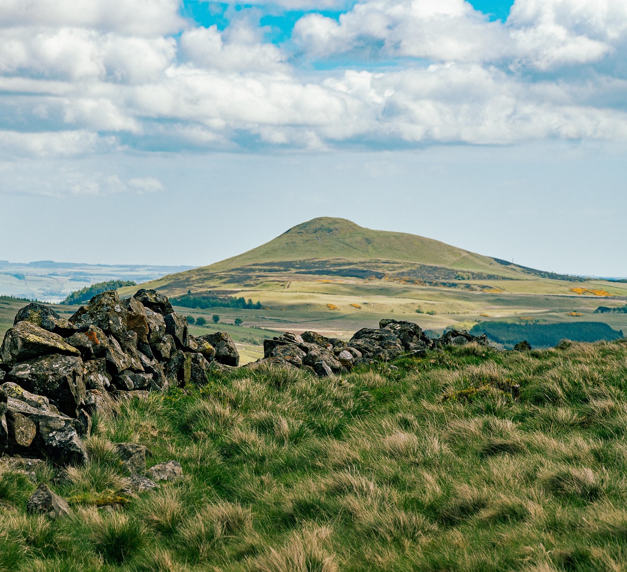 Scotland Grass Meadow - Free photo on Pixabay - Pixabay