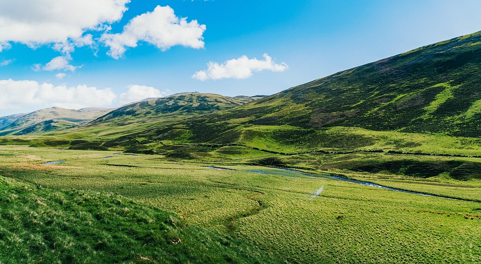 Scotland Hills Grass - Free photo on Pixabay - Pixabay