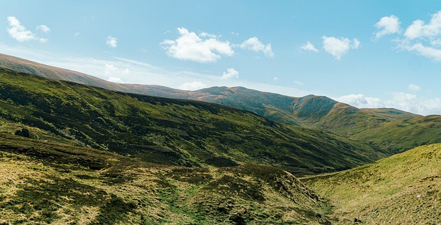 Scotland Grass Meadow - Free photo on Pixabay