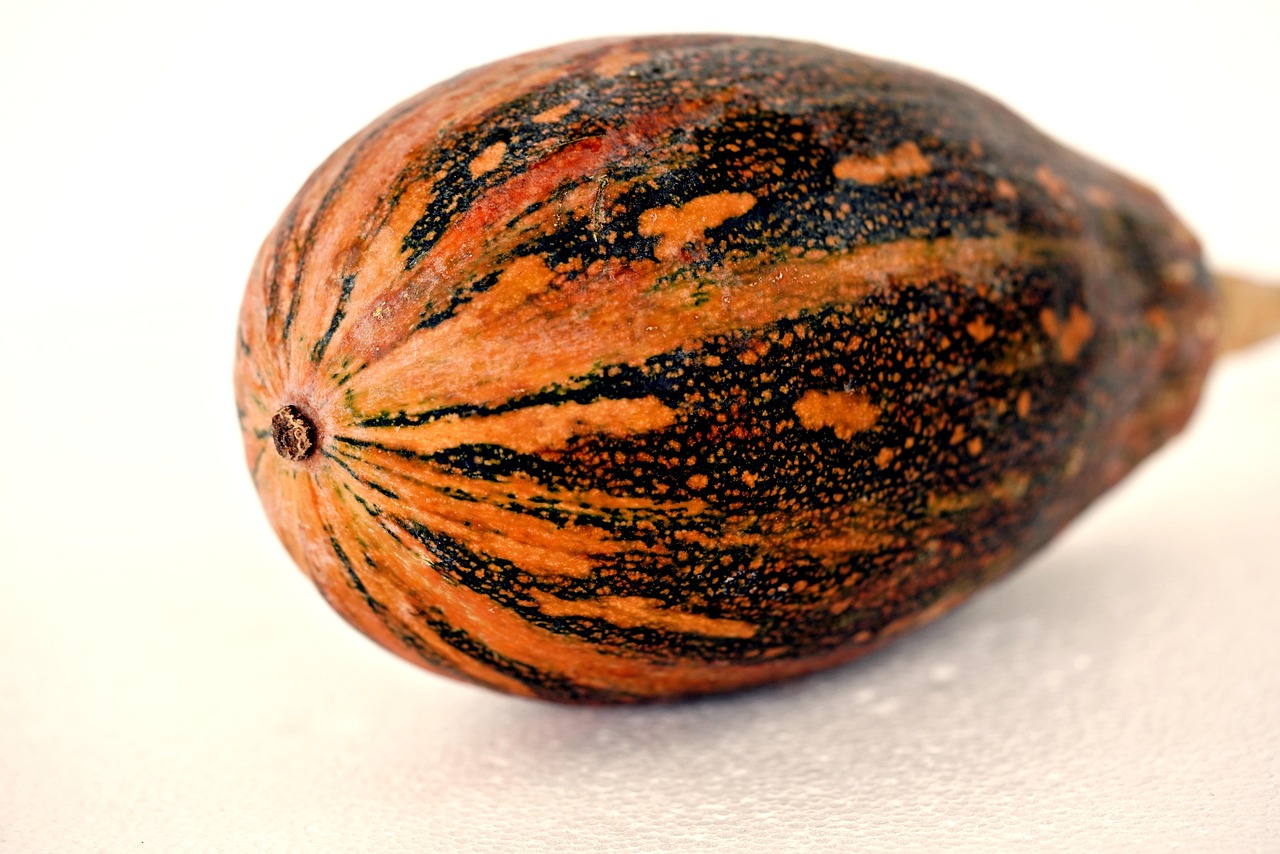 Vegetable Kabocha Squash - Free photo on Pixabay - Pixabay