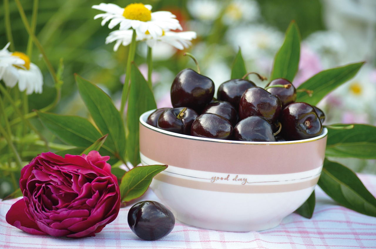 Cherries Flower Fruit Red - Free photo on Pixabay - Pixabay
