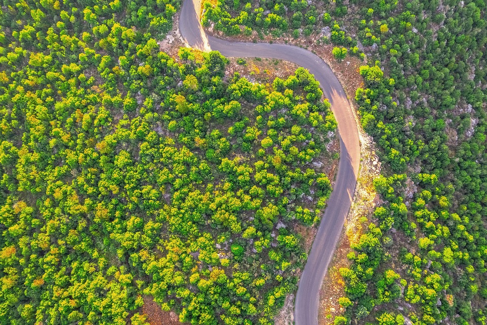 Road Path Trees - Free photo on Pixabay - Pixabay