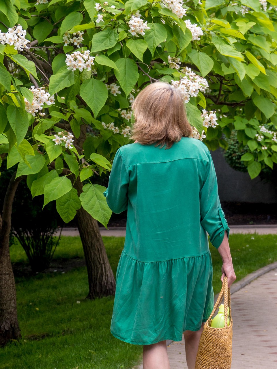 Woman Dress Green - Free photo on Pixabay - Pixabay
