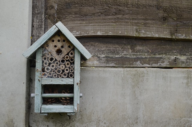 Insect Hotel Nature - Free photo on Pixabay - Pixabay