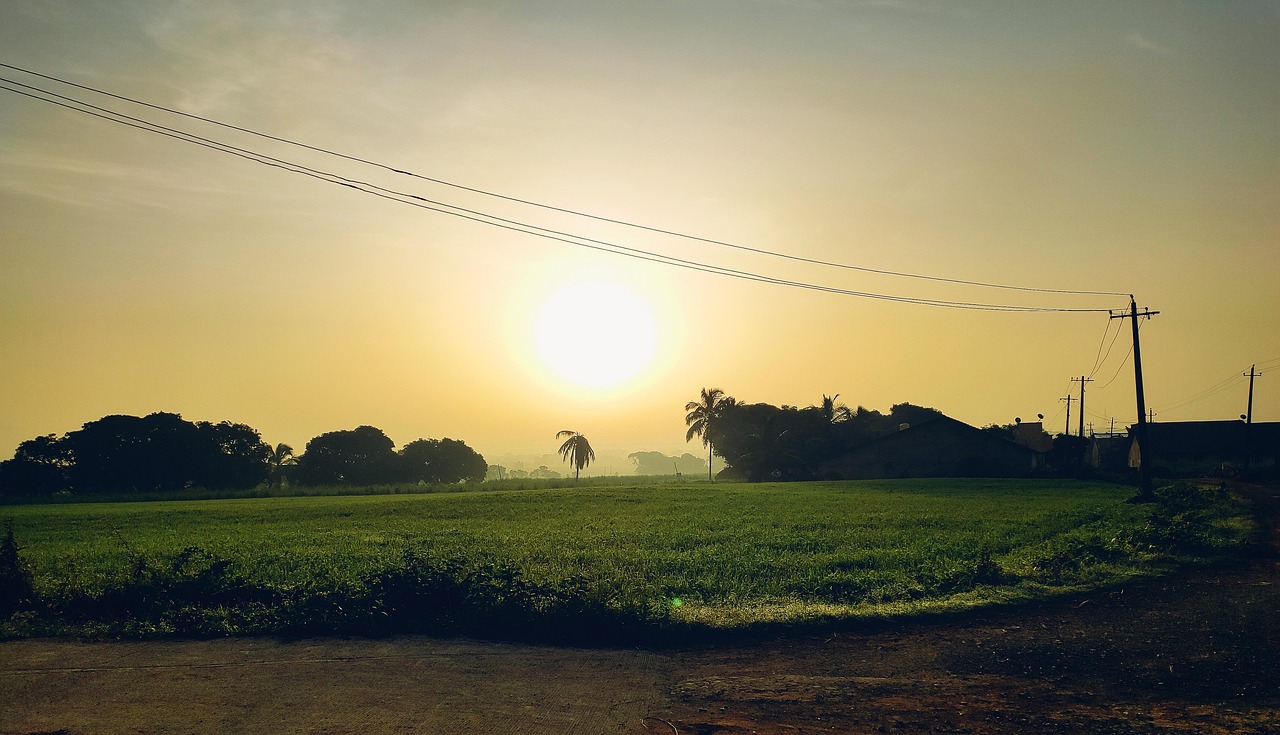 Nature Sun Green - Free photo on Pixabay - Pixabay