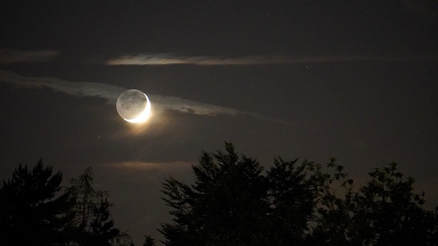 Lua Noite Período Noturno - Foto gratuita no Pixabay - Pixabay
