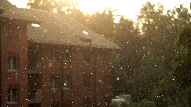 Luz De Sol Lluvia El - Foto gratis en Pixabay - Pixabay