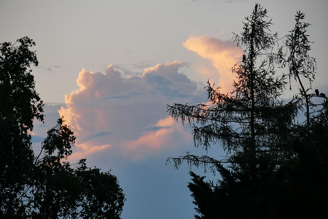 Afterglow Mood Clouds - Free photo on Pixabay - Pixabay