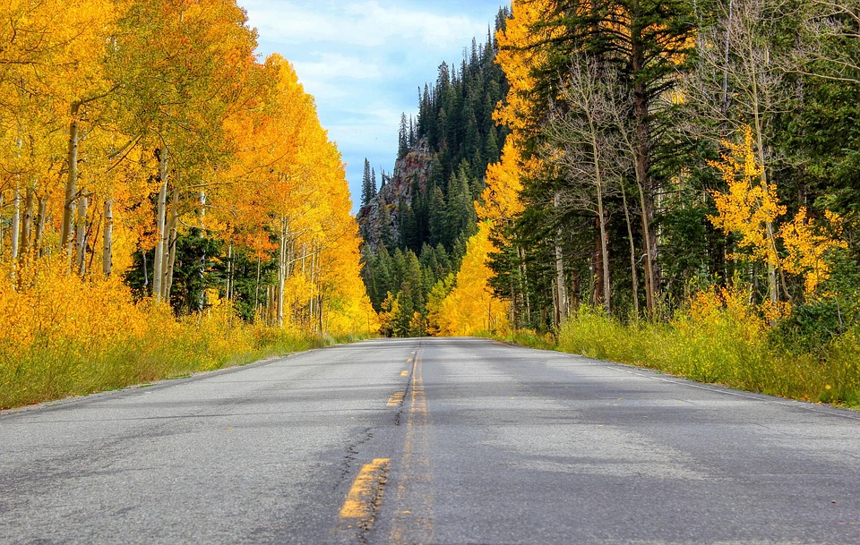 Country Road Asphalt - Free photo on Pixabay