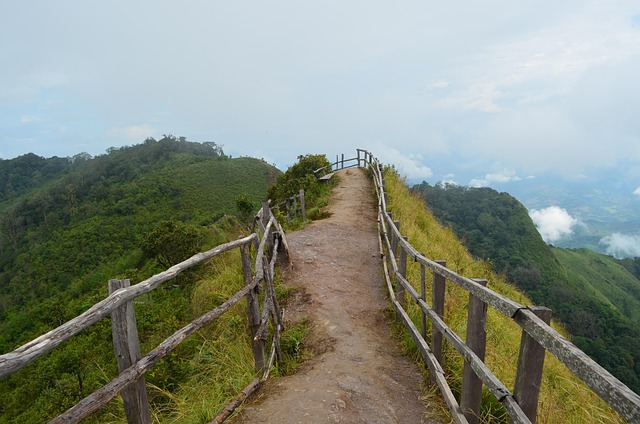 Montanha Trilha Mountain View - Foto gratuita no Pixabay - Pixabay
