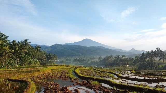 20,000+ Free Indonesia Photos & Indonesia Images - Pixabay