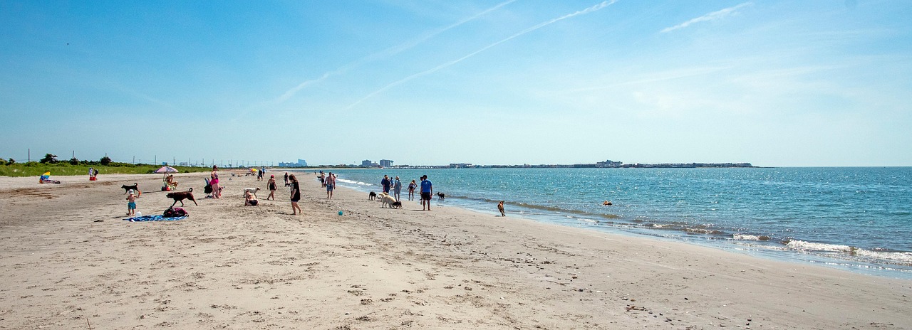Strand Longport Hundestrand New - Kostenloses Foto auf Pixabay - Pixabay