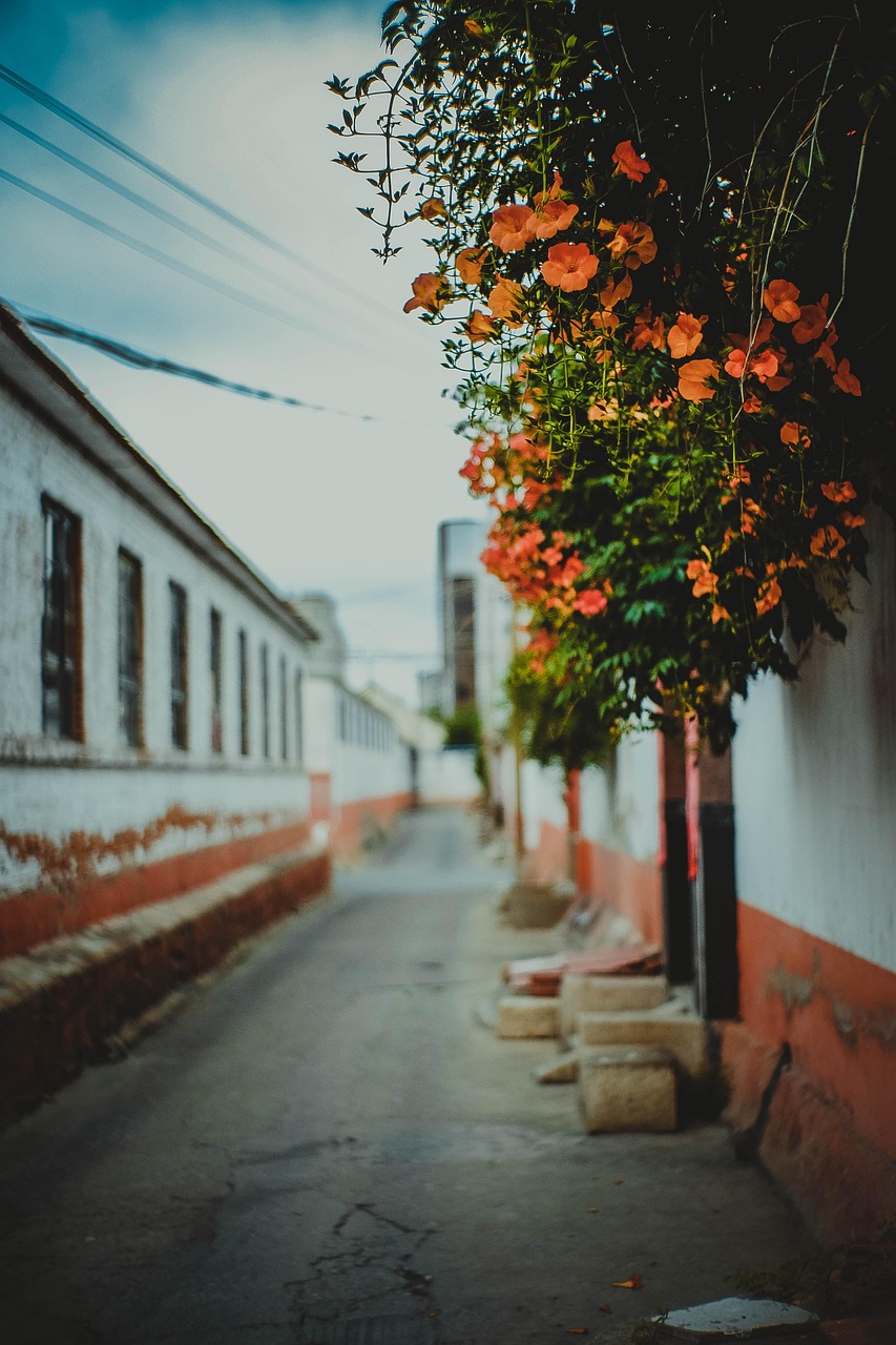 Alley - Free photo on Pixabay - Pixabay