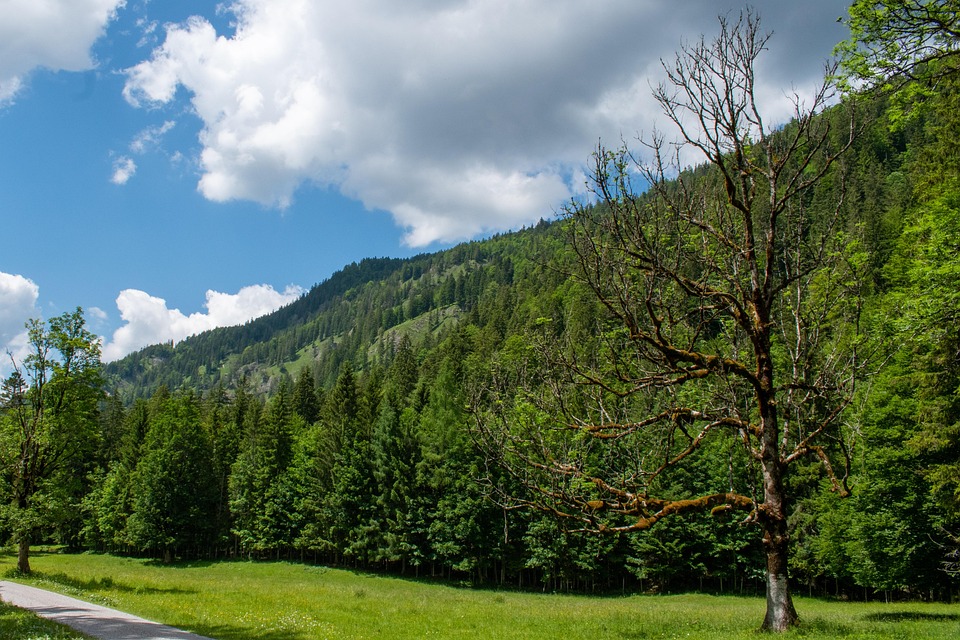 Mountain Country Landscape Meadow - Free photo on Pixabay