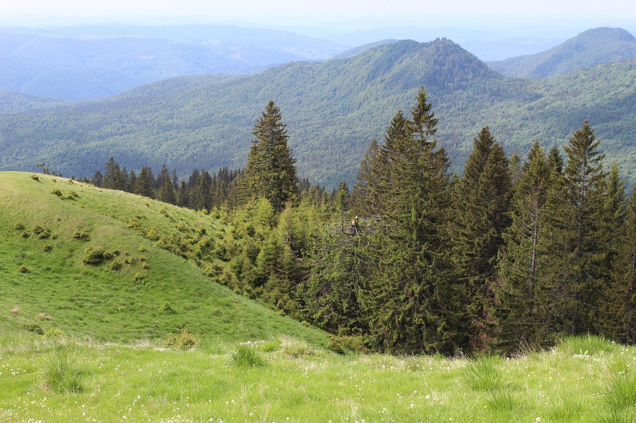 Montagne Forêt Ciel - Photo gratuite sur Pixabay - Pixabay