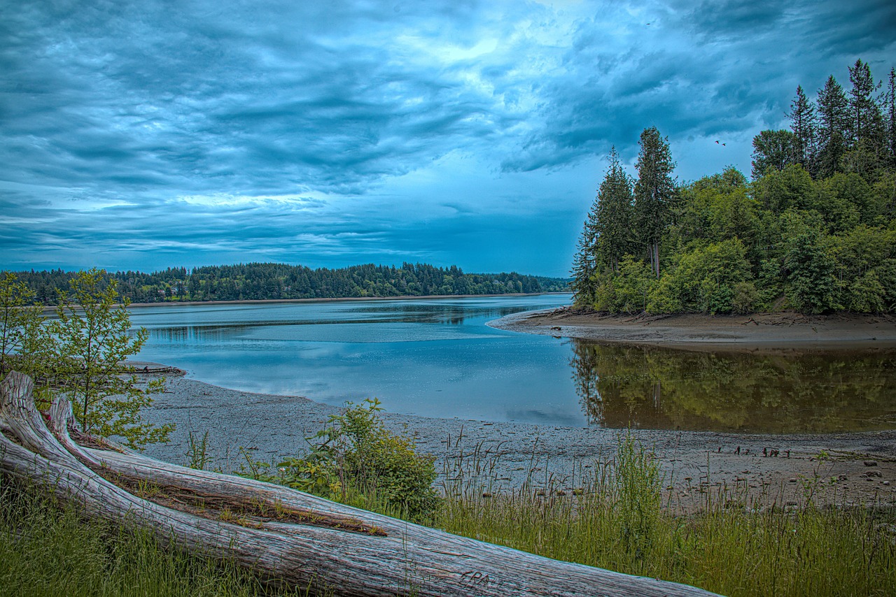 Woodard Bay Overcast - Free photo on Pixabay - Pixabay