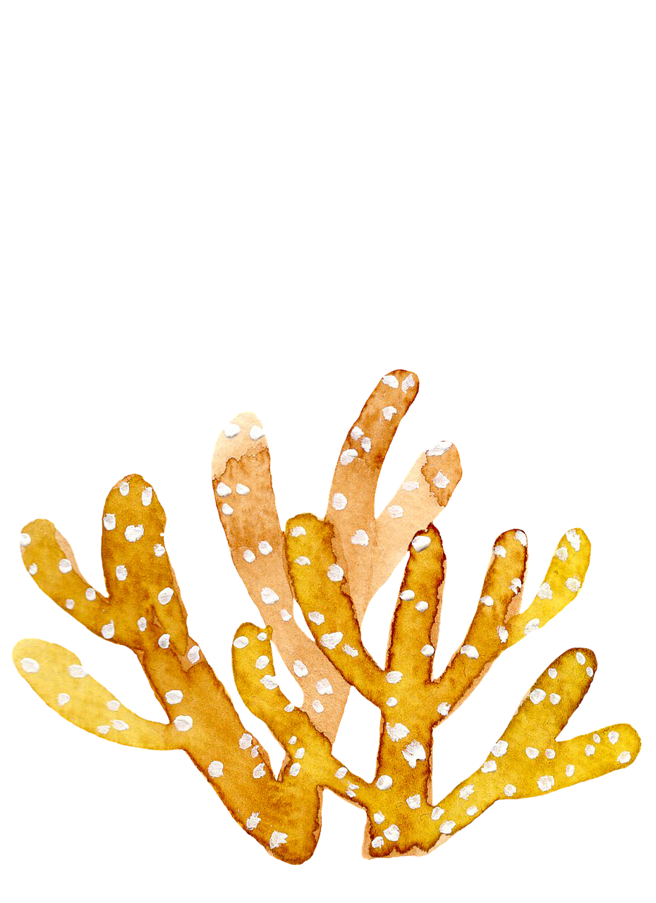 70,000+ Free Coral Texture & Coral Images - Pixabay