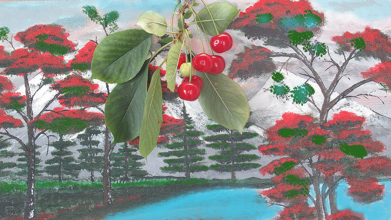 Square Cherries - Free photo on Pixabay - Pixabay