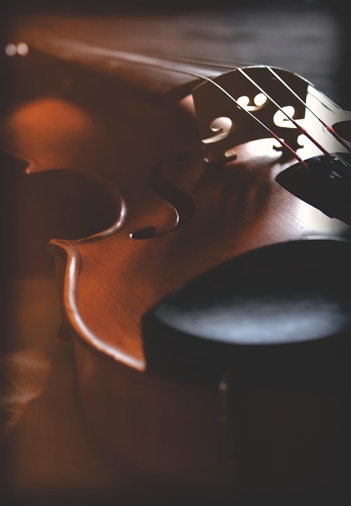 Violon La Musique Classique Du - Photo gratuite sur Pixabay - Pixabay