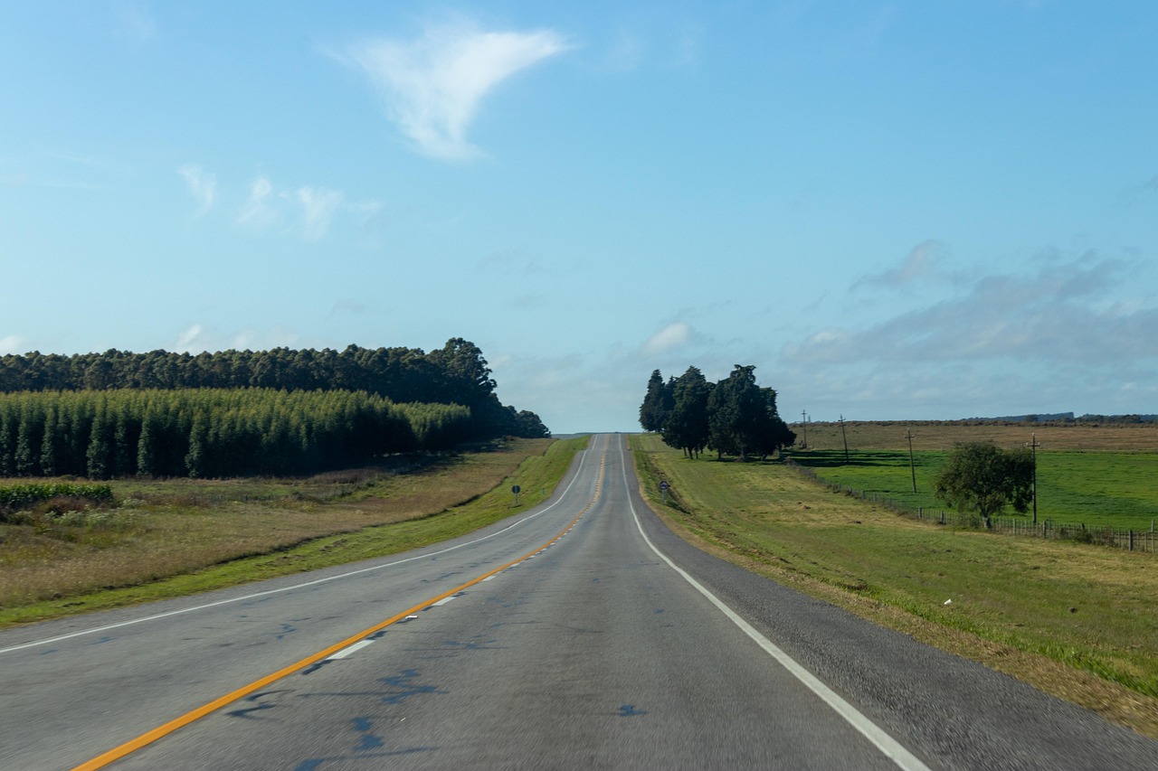 Route Highway Forest - Free photo on Pixabay - Pixabay