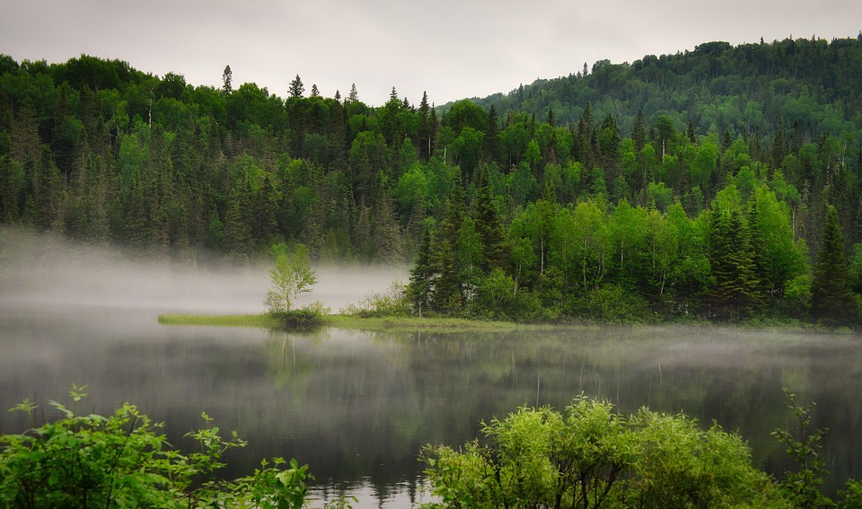 Landscape Nature Trees - Free photo on Pixabay