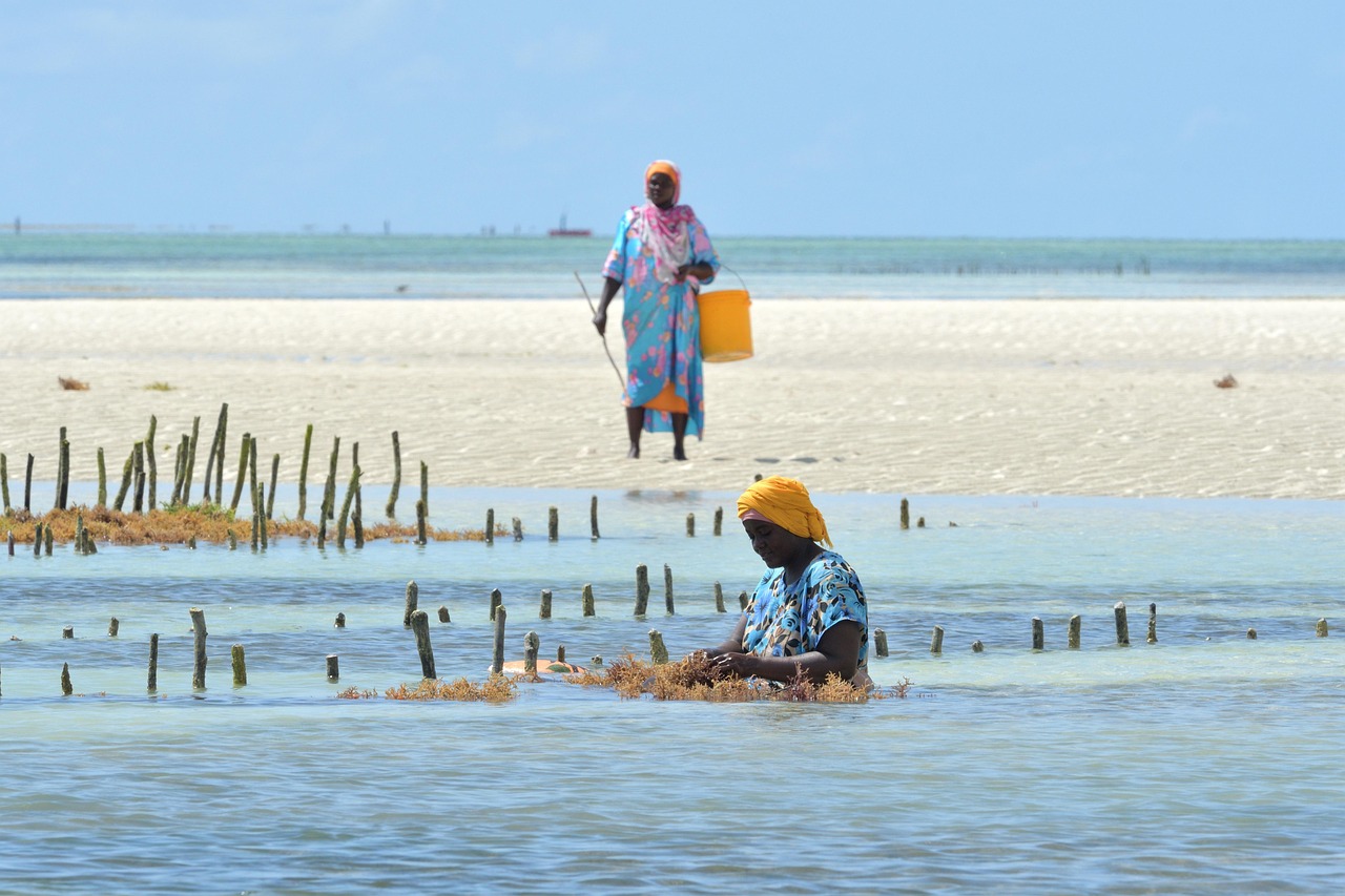 Woman Algae Beach - Free photo on Pixabay - Pixabay