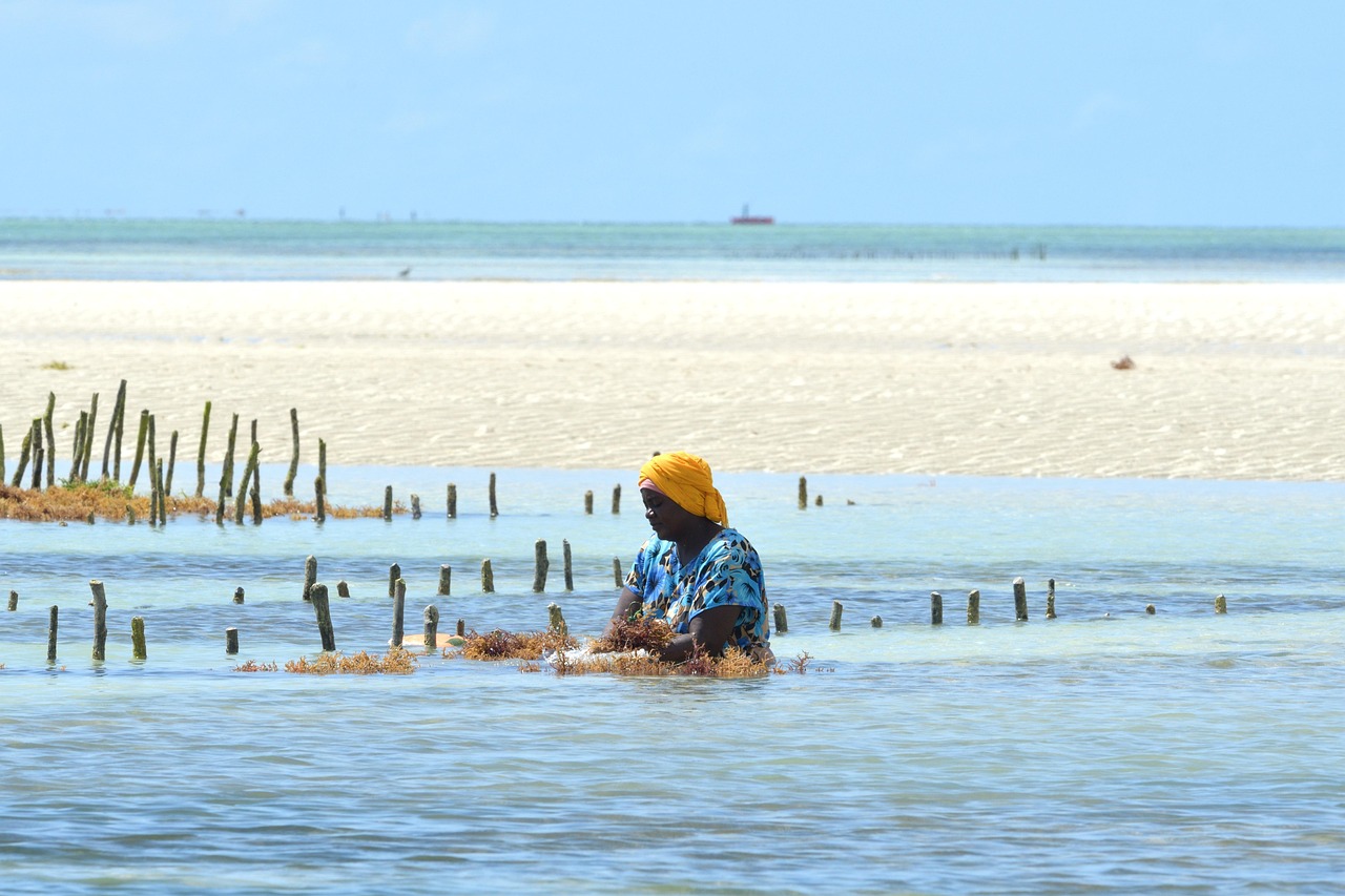 Woman Algae Beach - Free photo on Pixabay